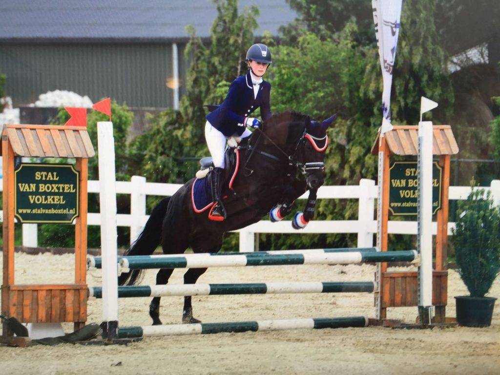 Dressage Hunter Jumper Ponies for Sale | Peter Berkers Sporthorses