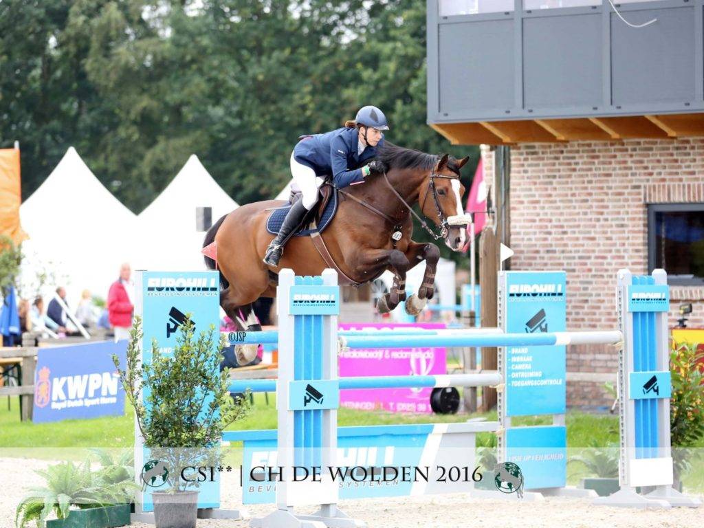 Equestrian Japan show jumping sales - Peter Berkers Sporthorses