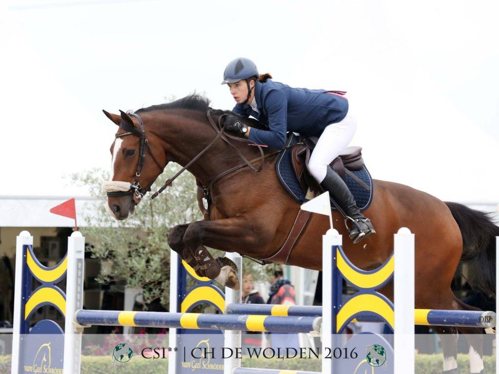 Equestrian Japan show jumping sales - Peter Berkers Sporthorses