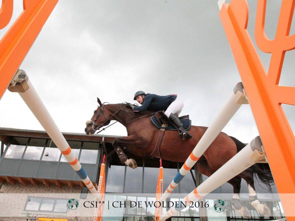 Equestrian Japan show jumping sales - Peter Berkers Sporthorses